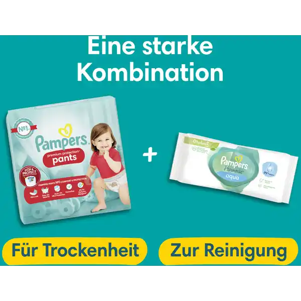Pampers Premium Protection Pants Gr 4 9 15kg Monatsbox Online Kaufen