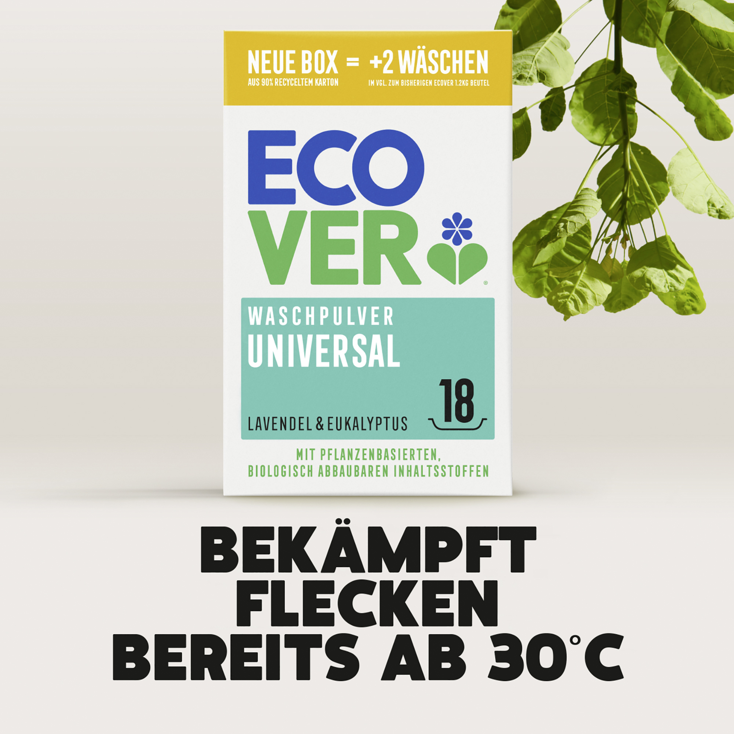 Ecover Universalwaschmittel Pulver Lavendel & Eukalyptus 18 WL online kaufen | rossmann.de
