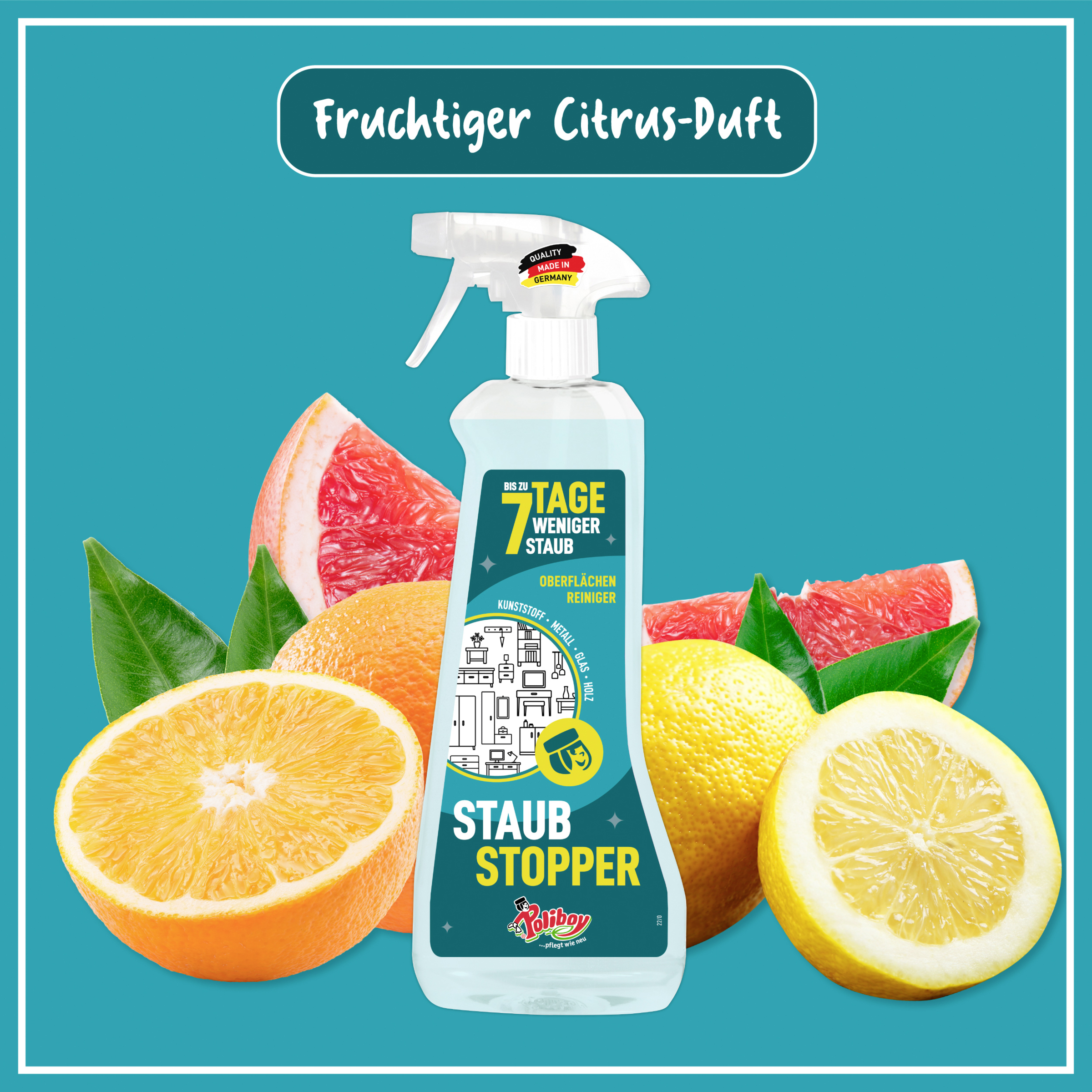 Poliboy Staubstopper Oberflächenreiniger online kaufen | rossmann.de