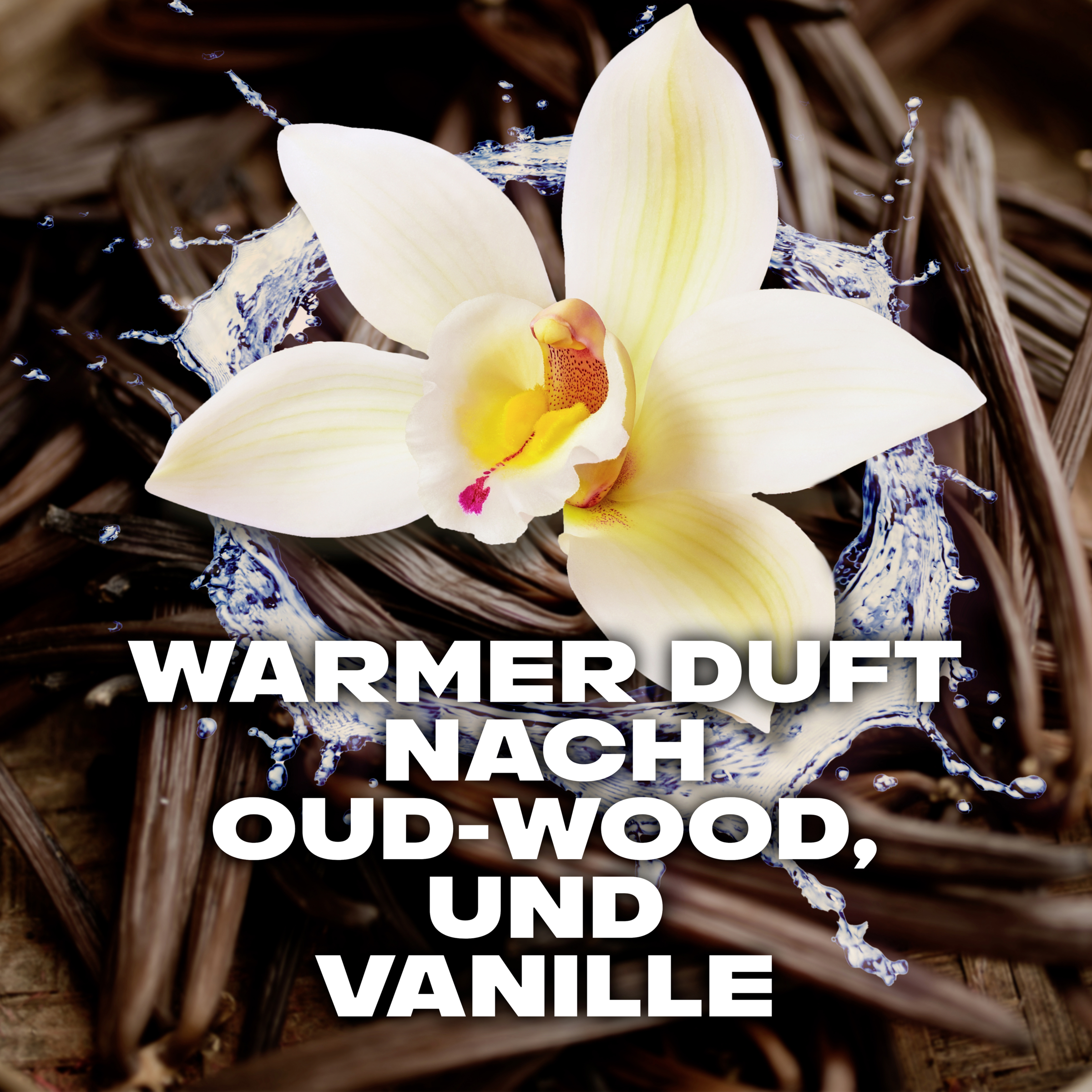 AXE Bodyspray Flaxe Limited Edition online kaufen | rossmann.de