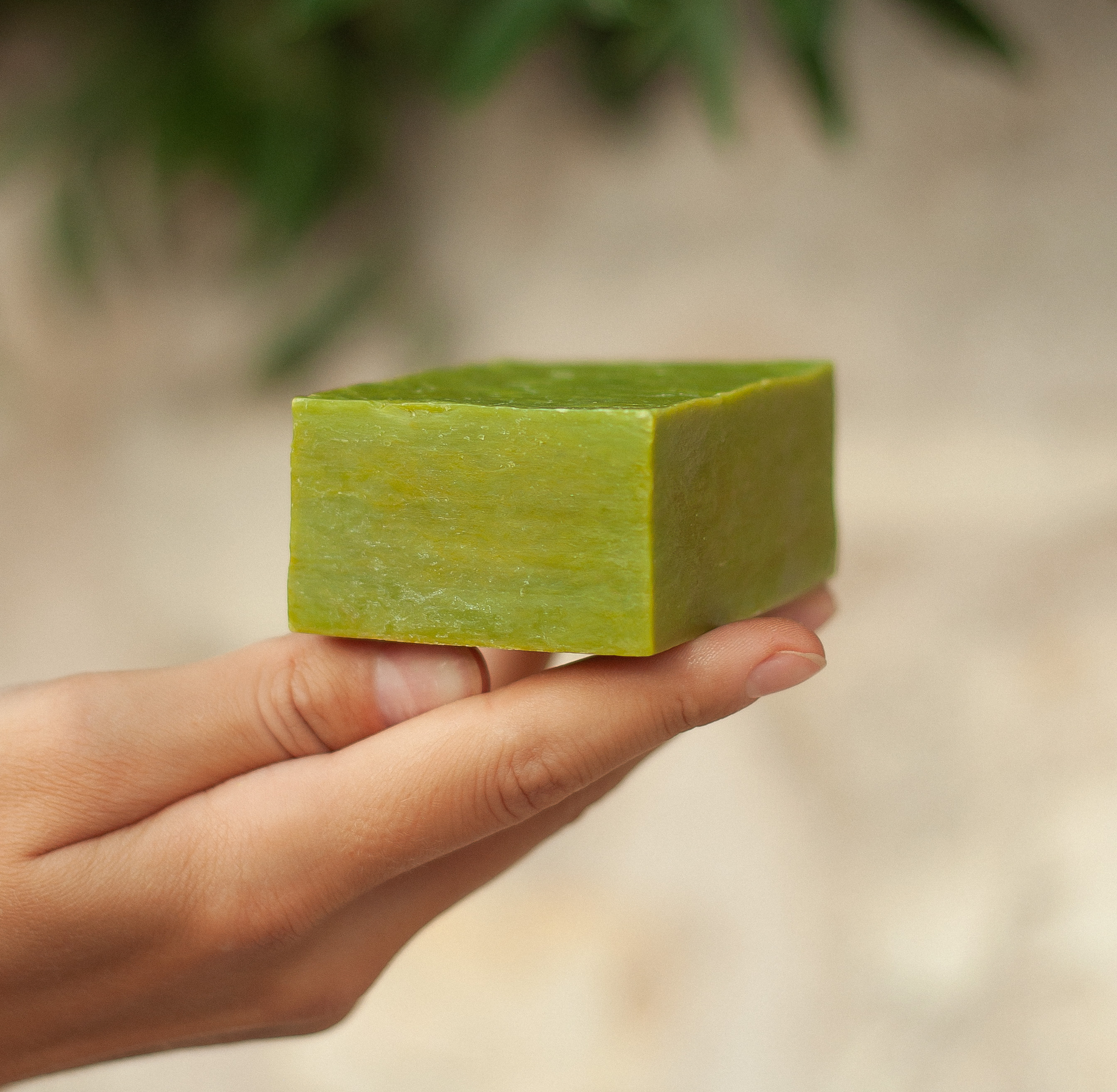 PAOS Grüne Bittim Seife online kaufen | rossmann.de