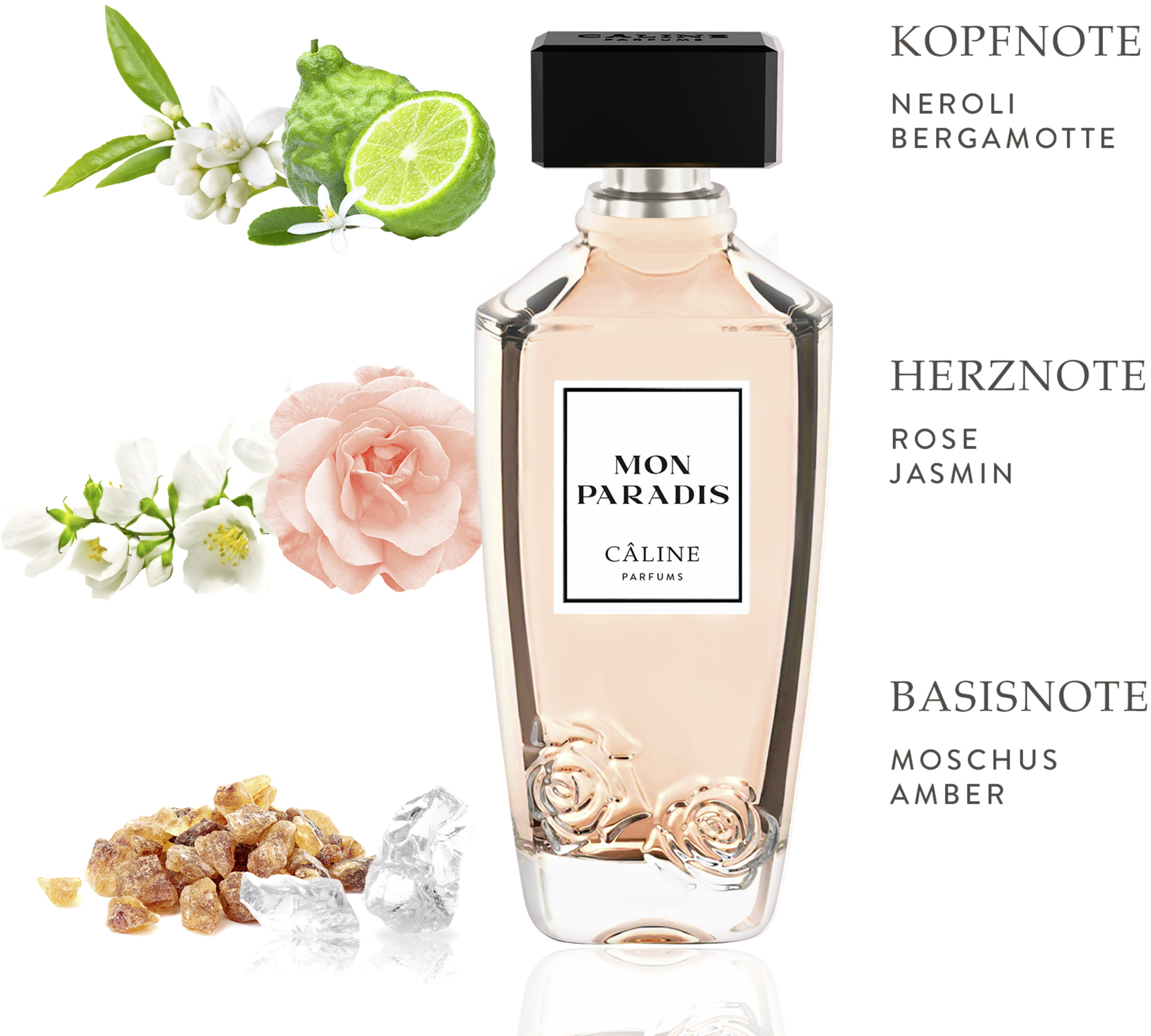 Câline Mon Paradis, EdP 60 ml online kaufen | rossmann.de