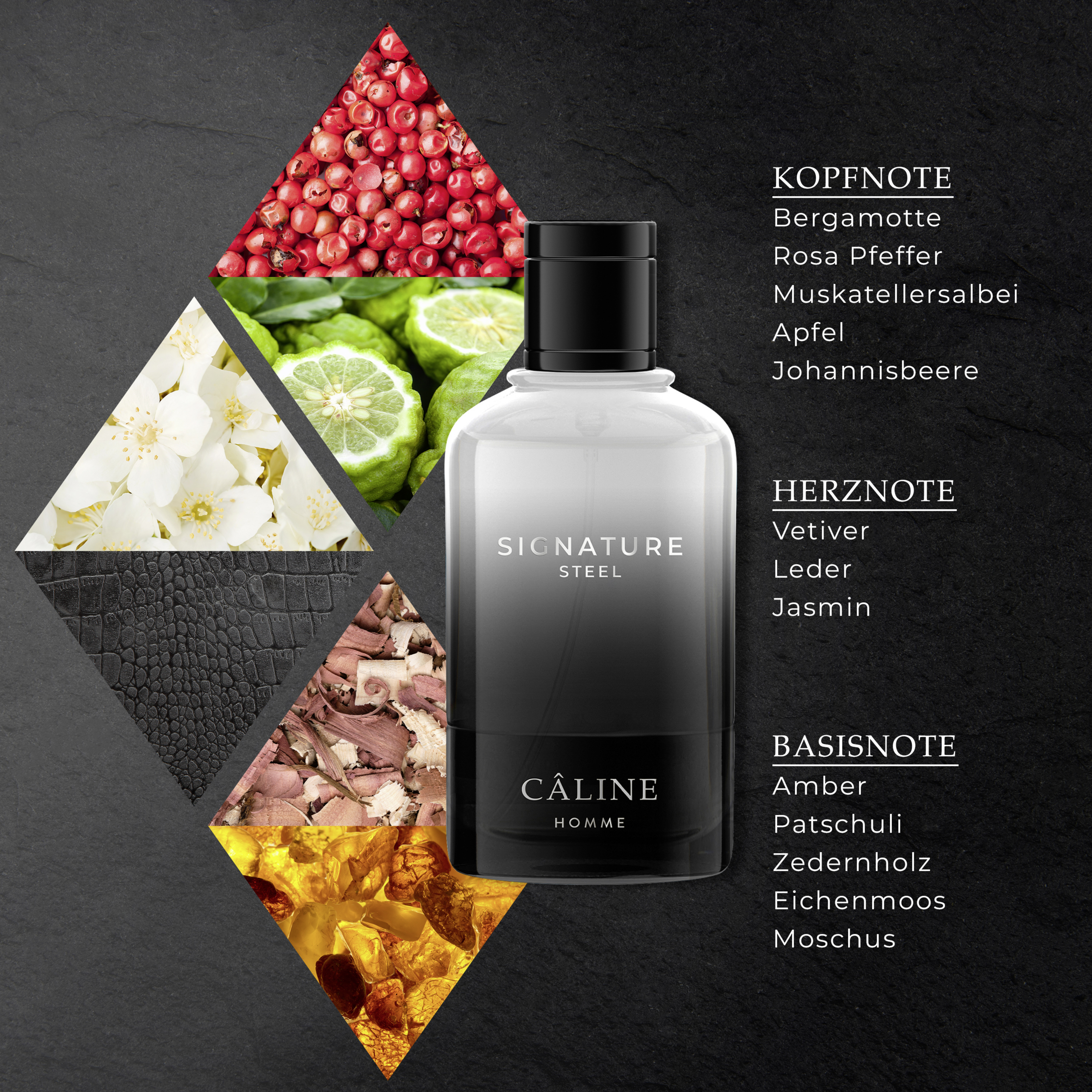 Câline Homme Signature Steel, EdT 60 ml online kaufen | rossmann.de