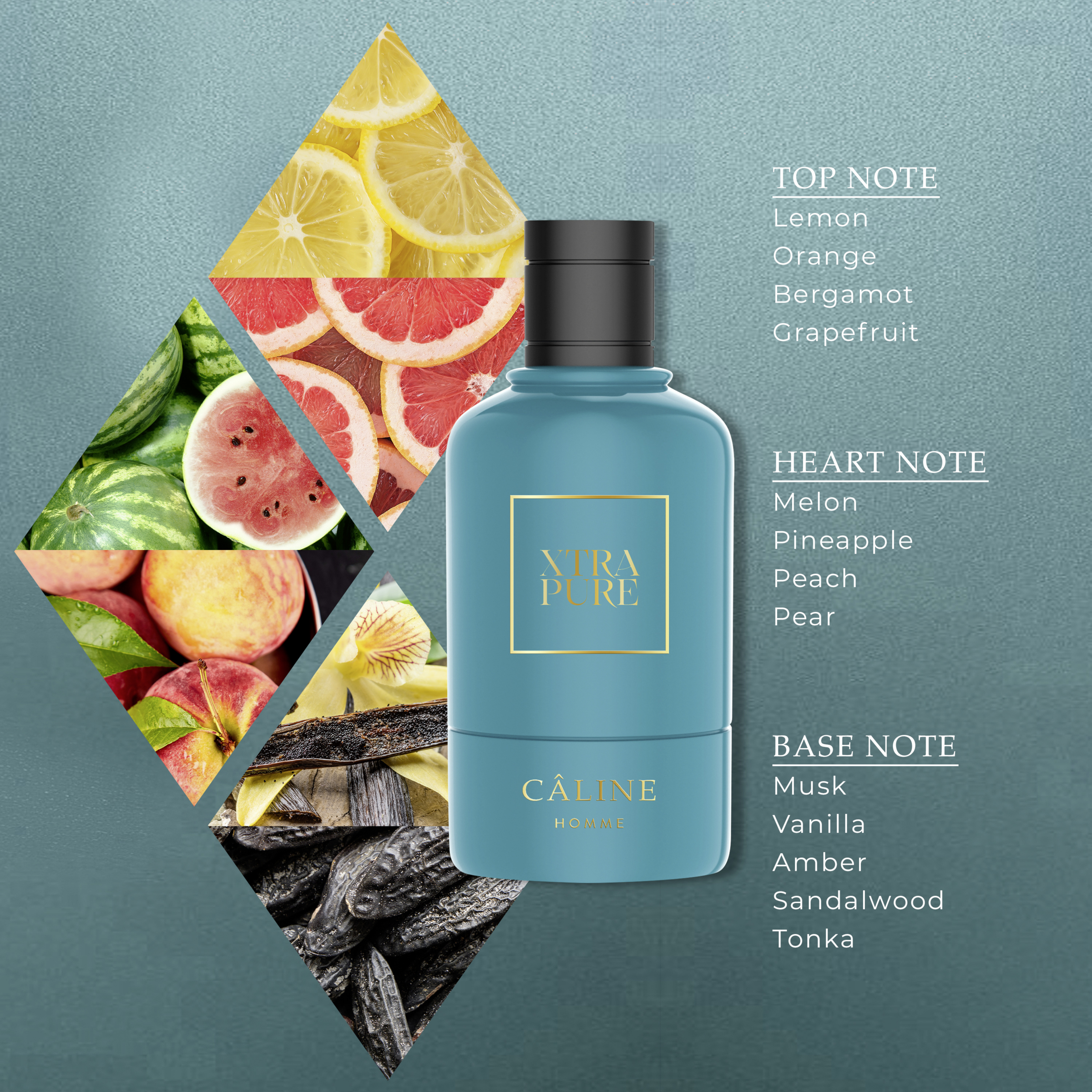 Câline Homme Xtra Pure, EdT 60 ml online kaufen | rossmann.de