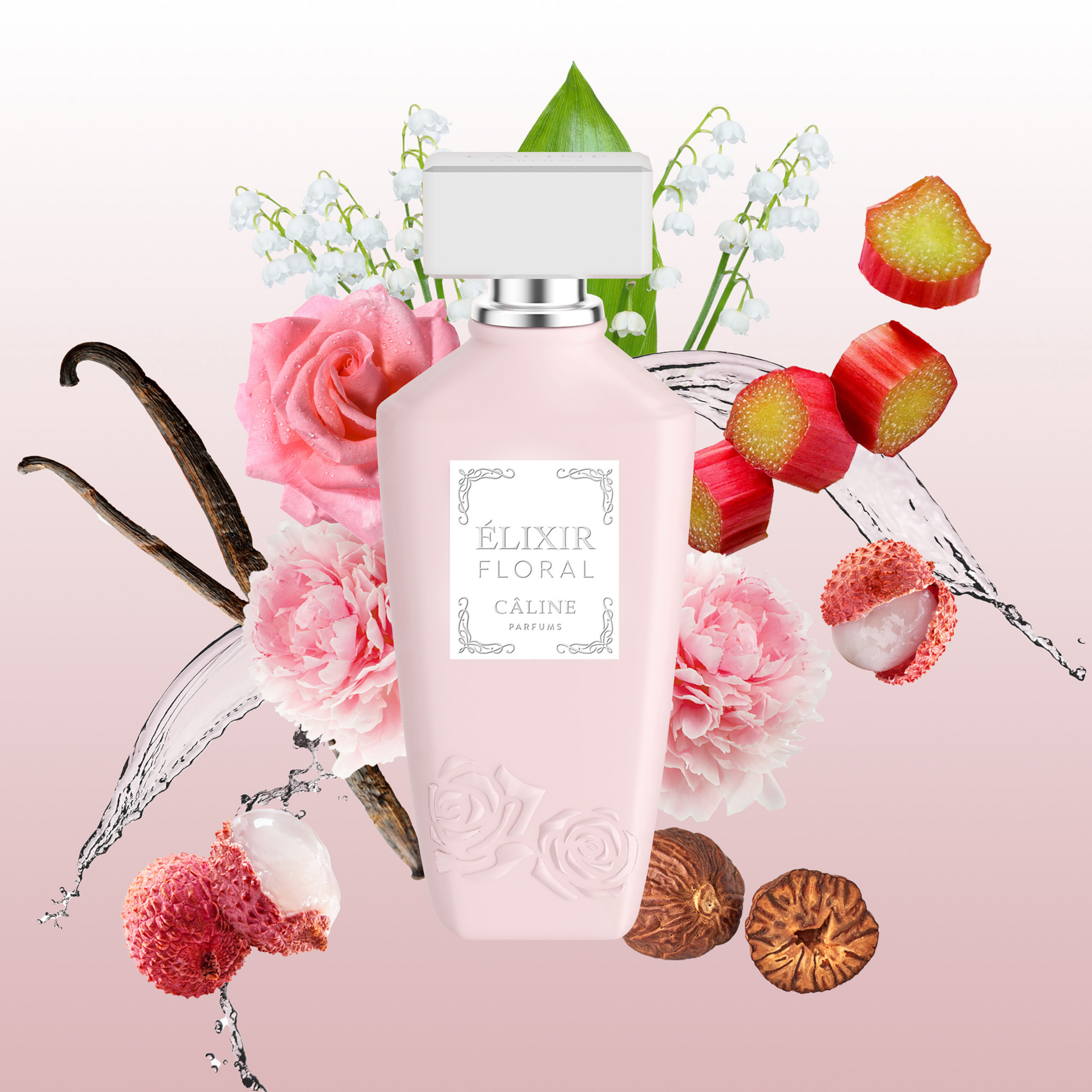 Câline Élixir Floral, EdP 60 ml online kaufen | rossmann.de