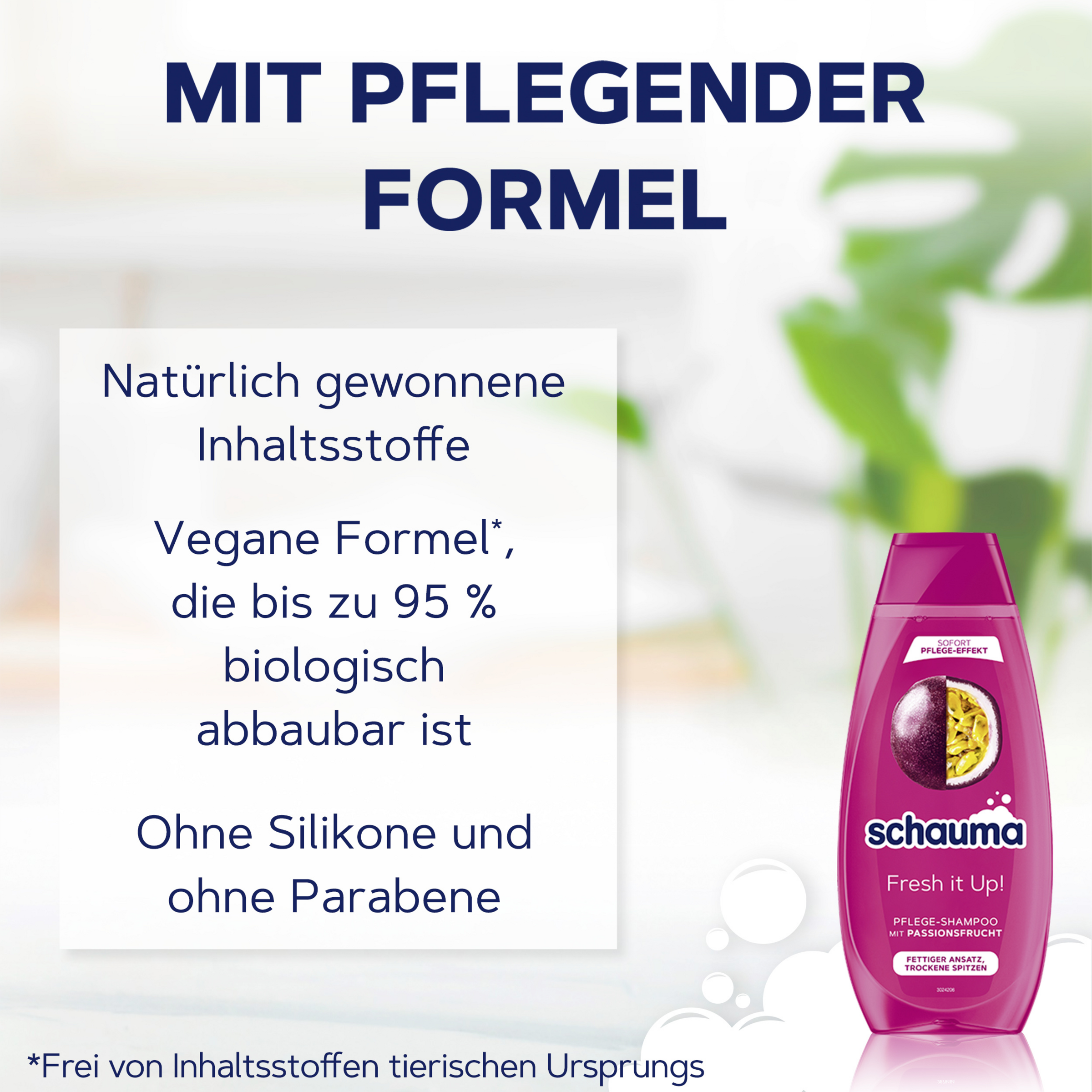 Schauma Shampoo Fresh it Up! online kaufen | rossmann.de
