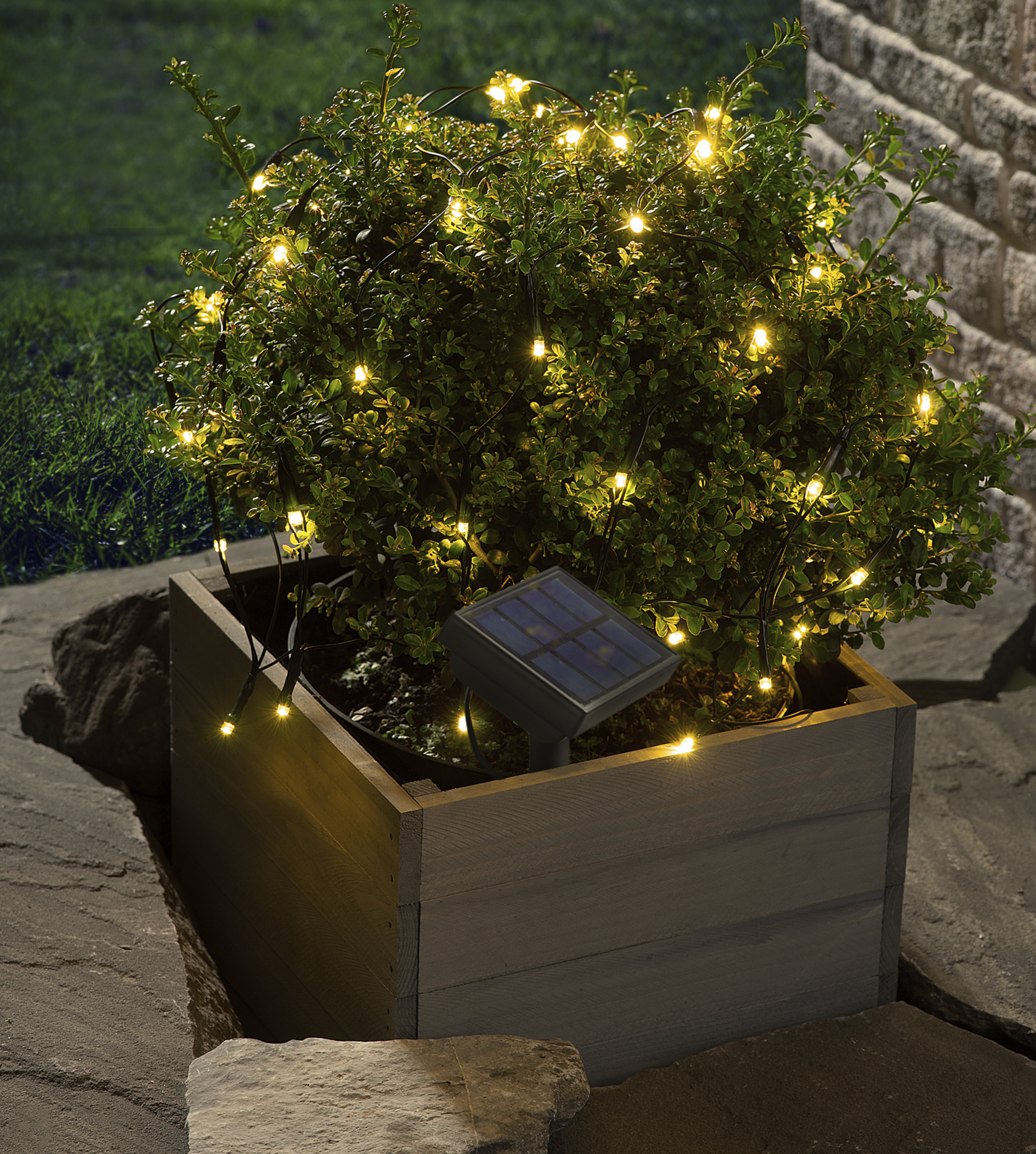 IDEENWELT Solar-Lichternetz online kaufen | rossmann.de