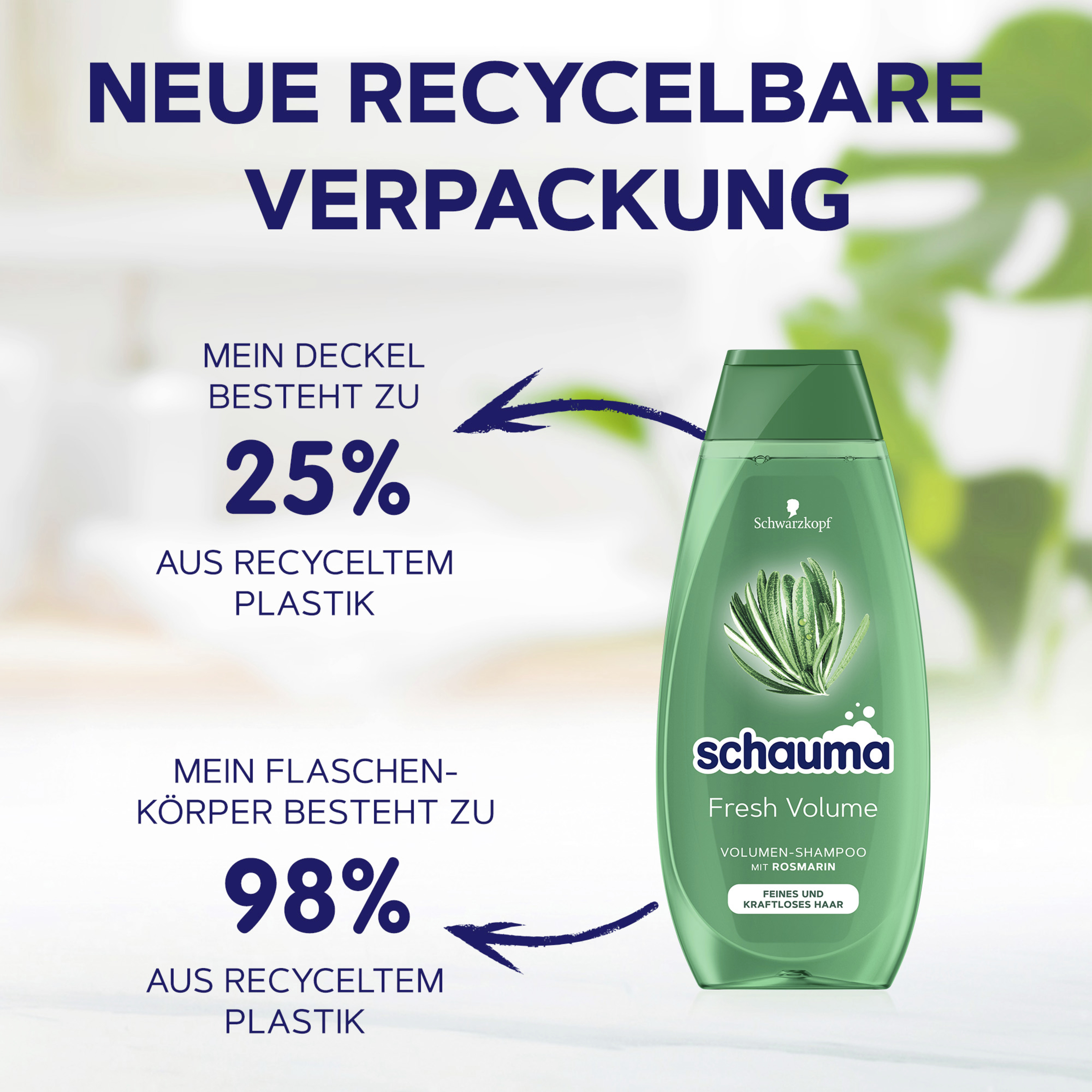 Rat Wagen Talent rossmann schwarzkopf shampoo Pamphlet Endlich Motor